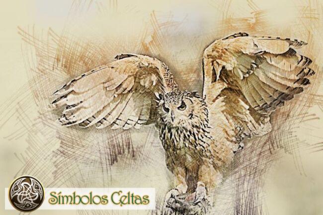 EL simbolismo del Búho en Japó ⊛ Simbolosceltas.top
